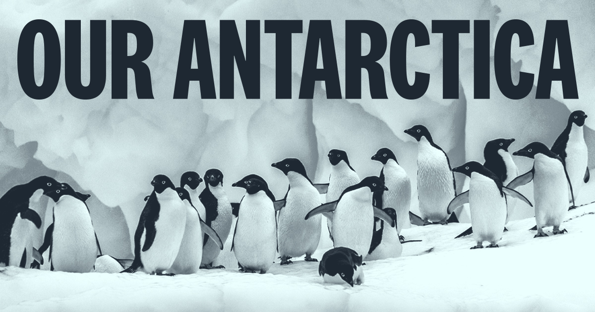 Antarctic Avengers - Our Antarctica